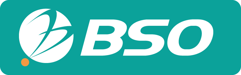 名古屋市少年野球チームBSO Baseball team 公式サイト